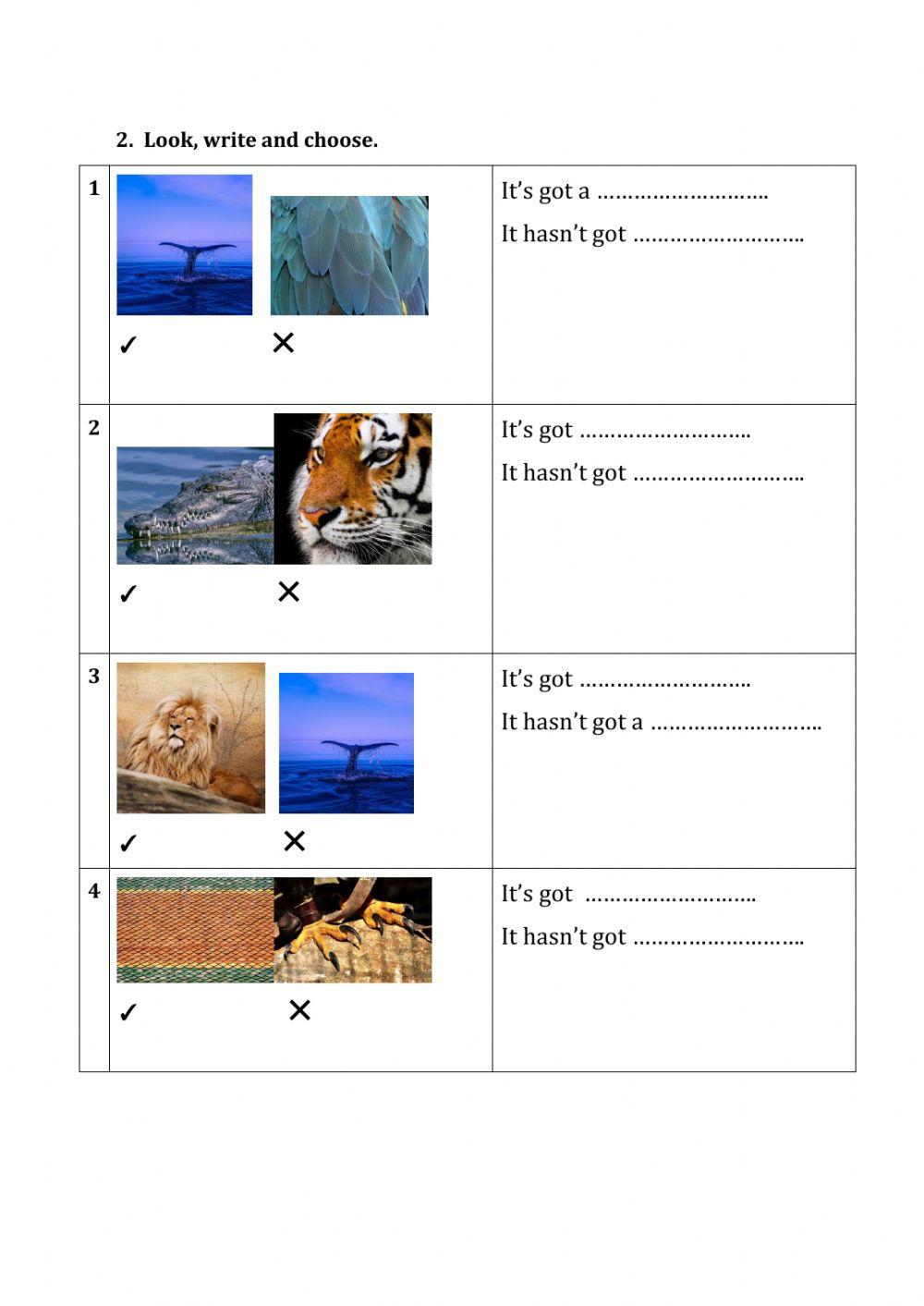 3rd class extension 2 (unit 5) worksheet | Live Worksheets