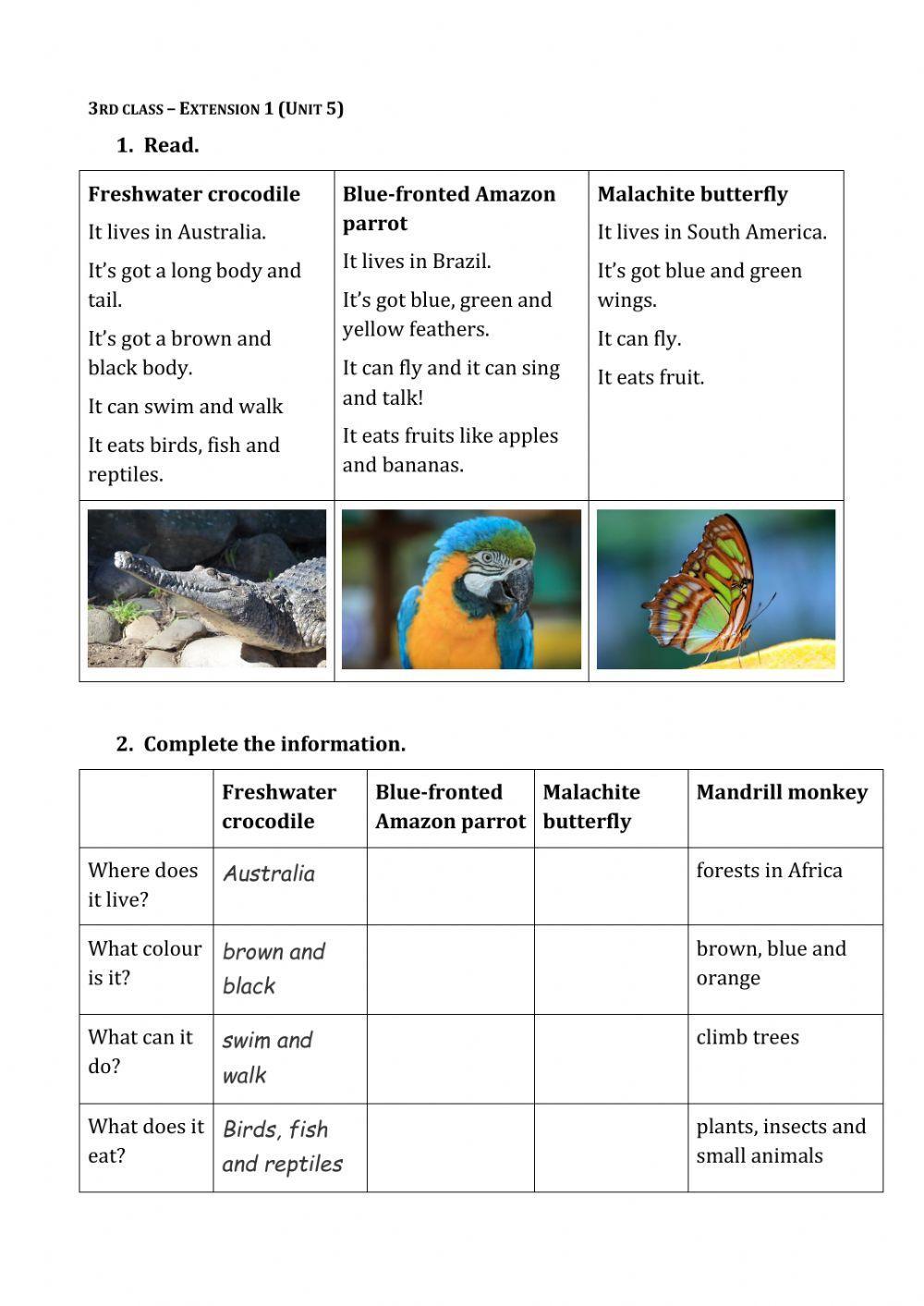 3rd class extension 3 (unit 5) worksheet | Live Worksheets