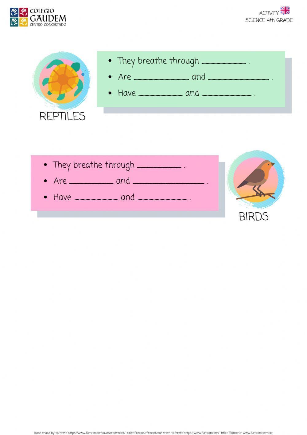 Activity animals review worksheet | Live Worksheets
