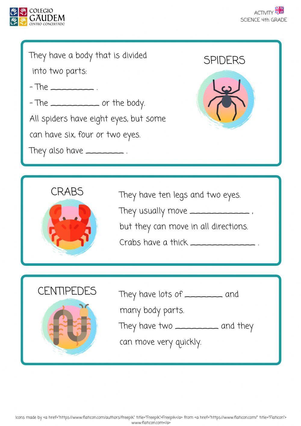 Activity animals review worksheet | Live Worksheets