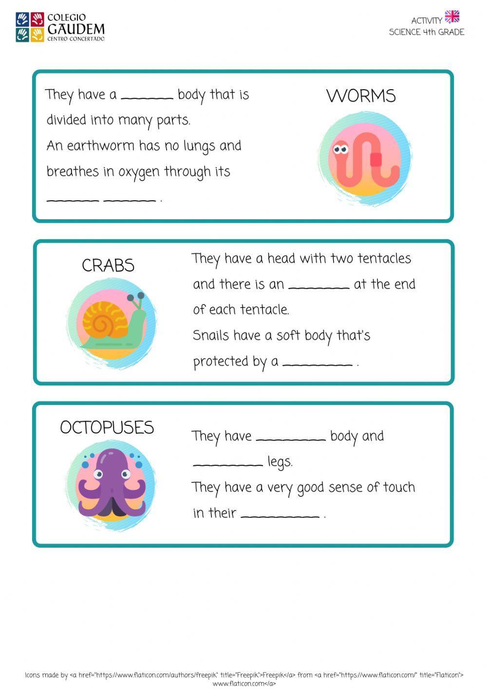 Activity animals review worksheet | Live Worksheets