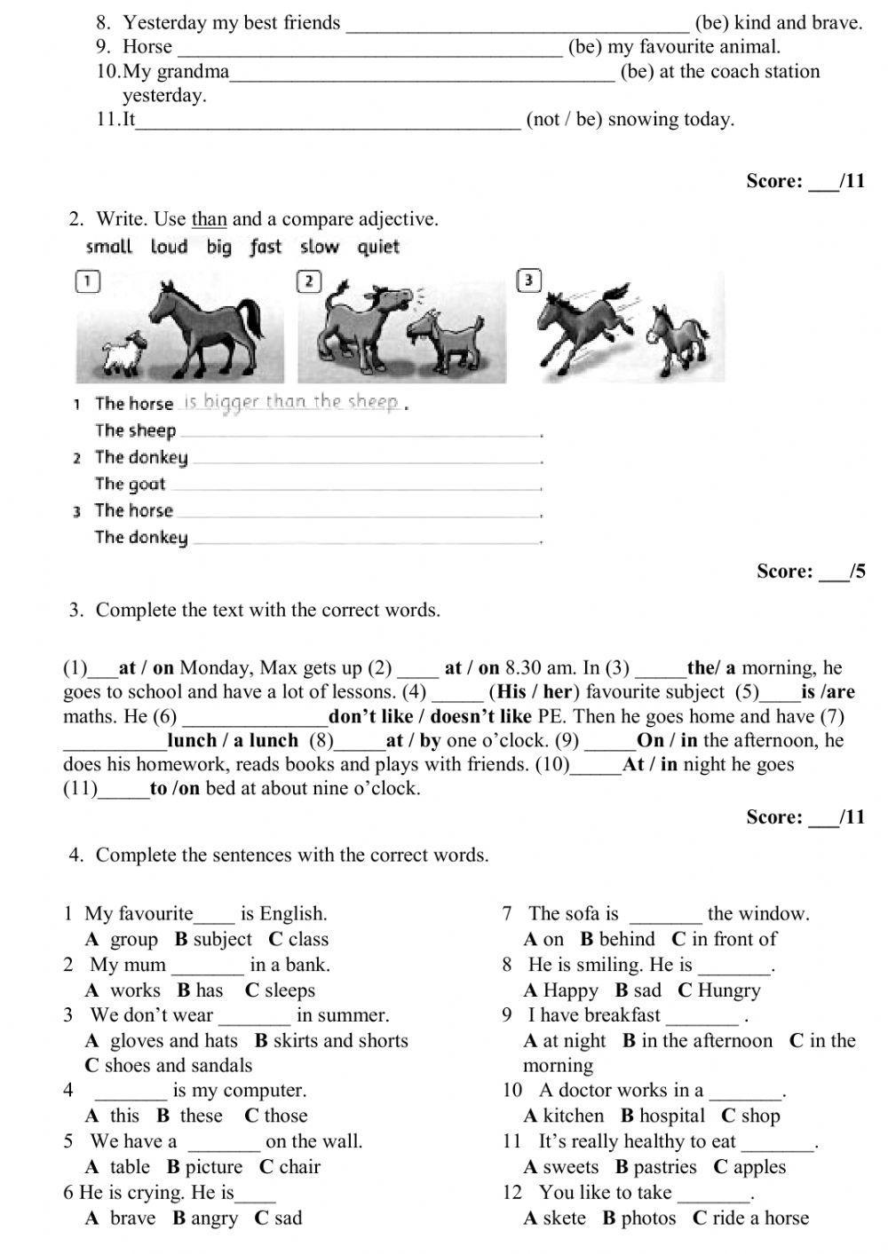 3000 Exam Test worksheet | Live Worksheets