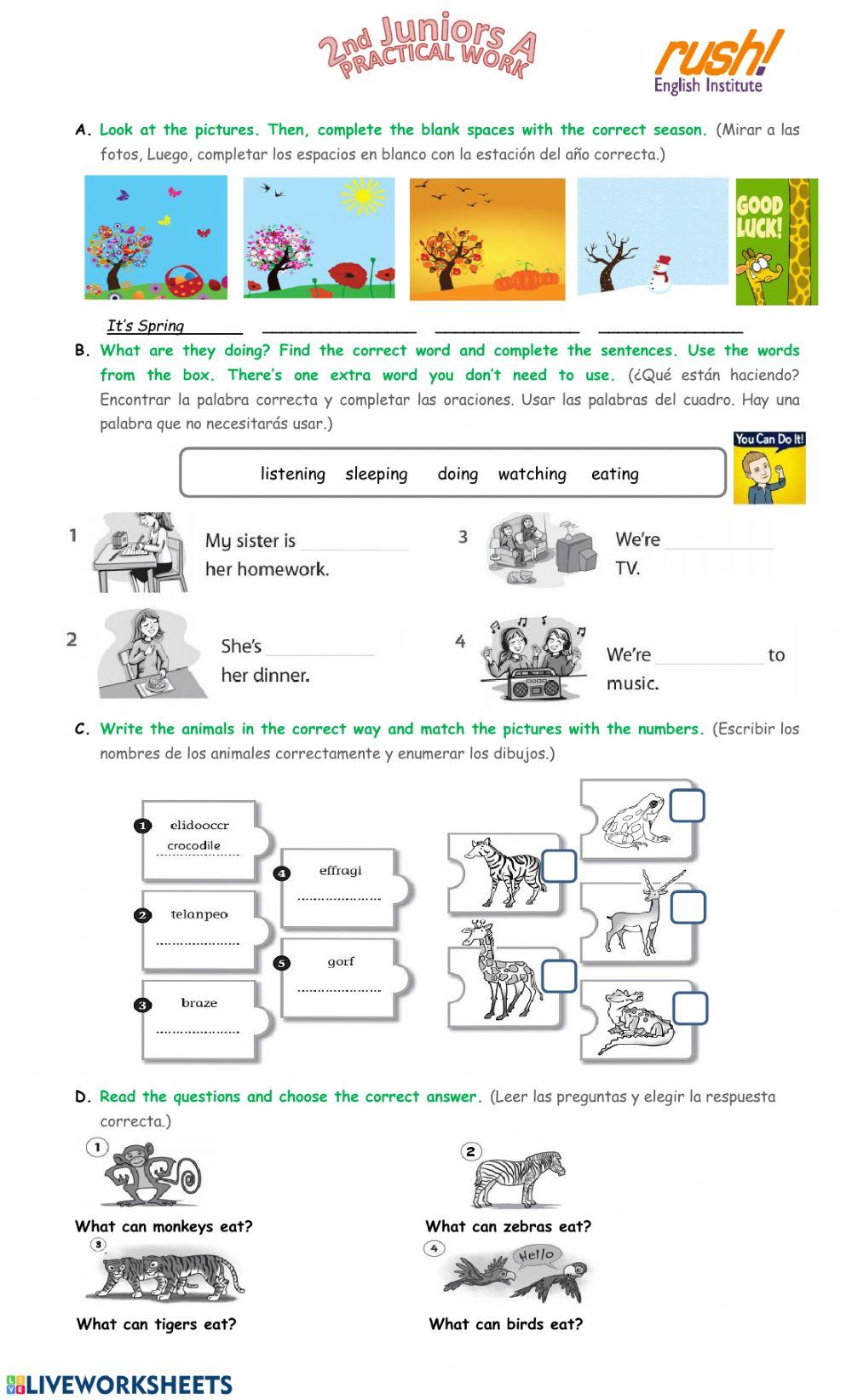2nd Juniors - Practical Work 2020 worksheet | Live Worksheets