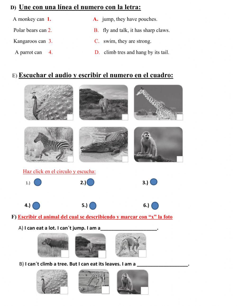 Wild Animals online exercise for Grade 2 | Live Worksheets