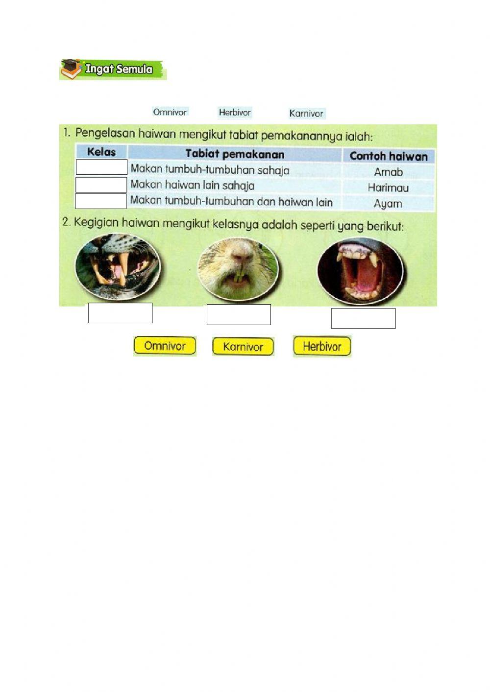 Tabiat pemakanan haiwan worksheet | Live Worksheets