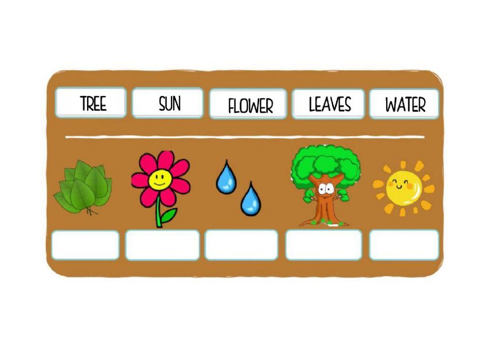 Pdf online exercise: Spring | Live Worksheets