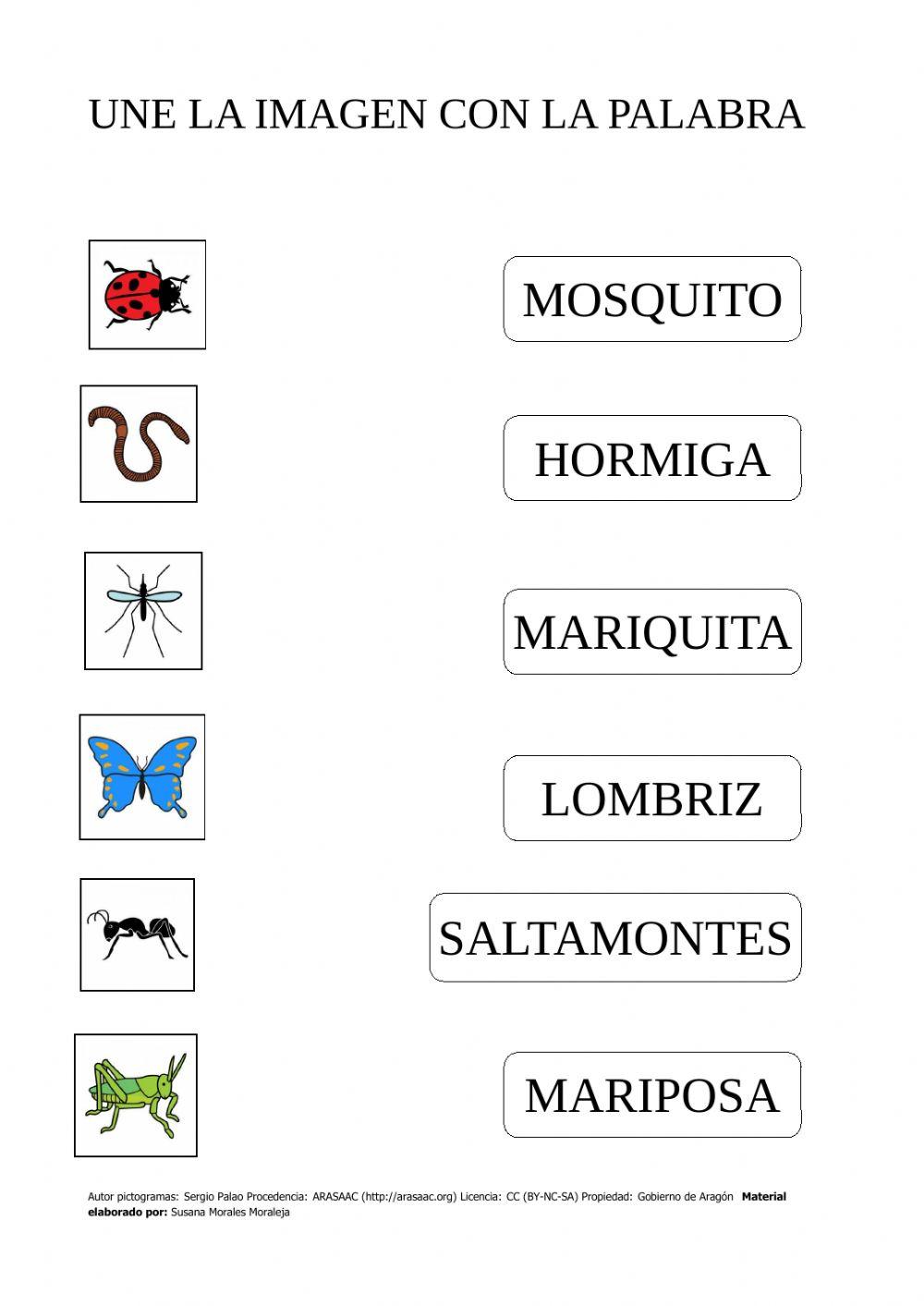 unir imagen con palabra. insectos online exercise for | Live Worksheets