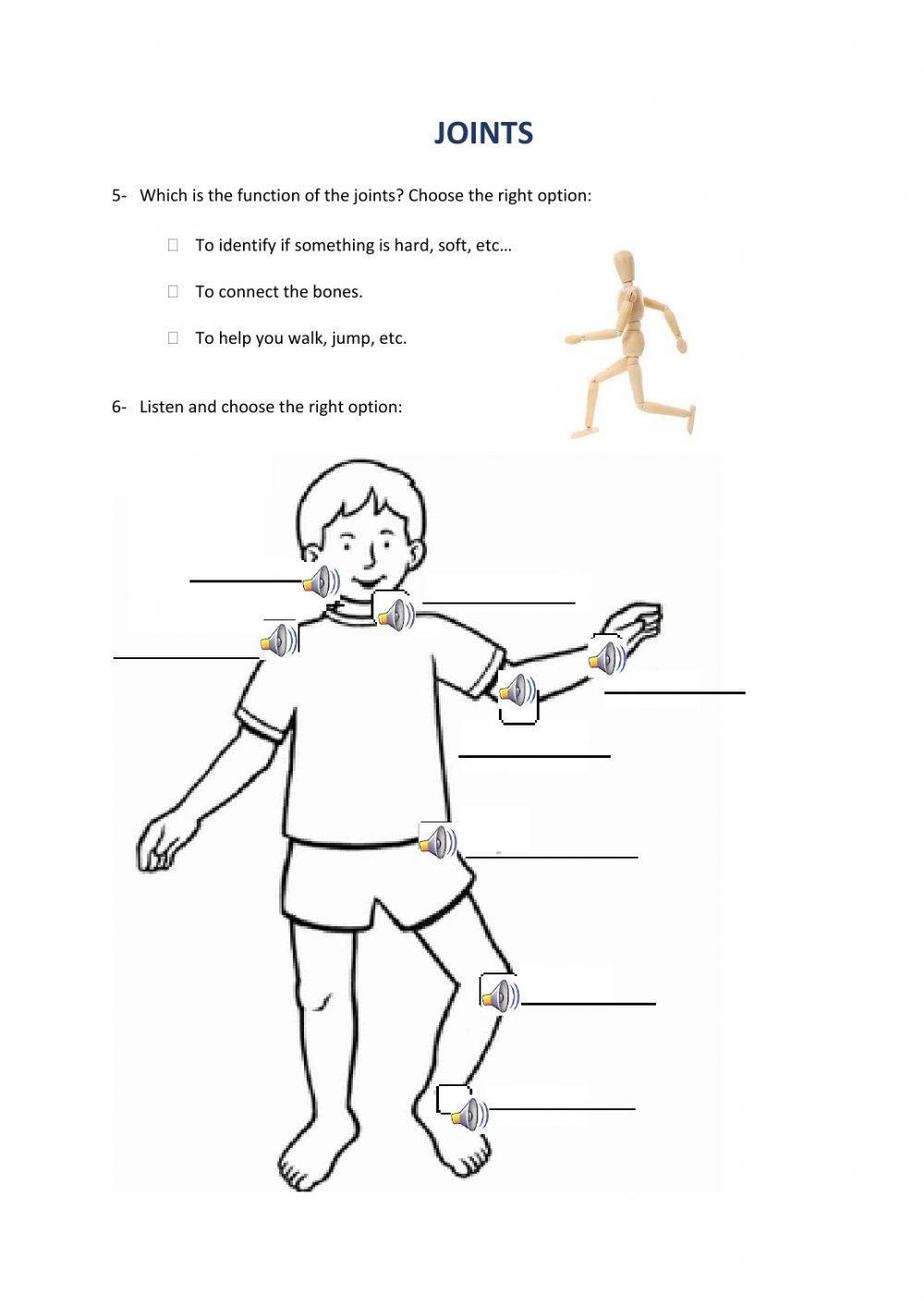 The locomotor s… | Free Interactive Worksheets | 206929