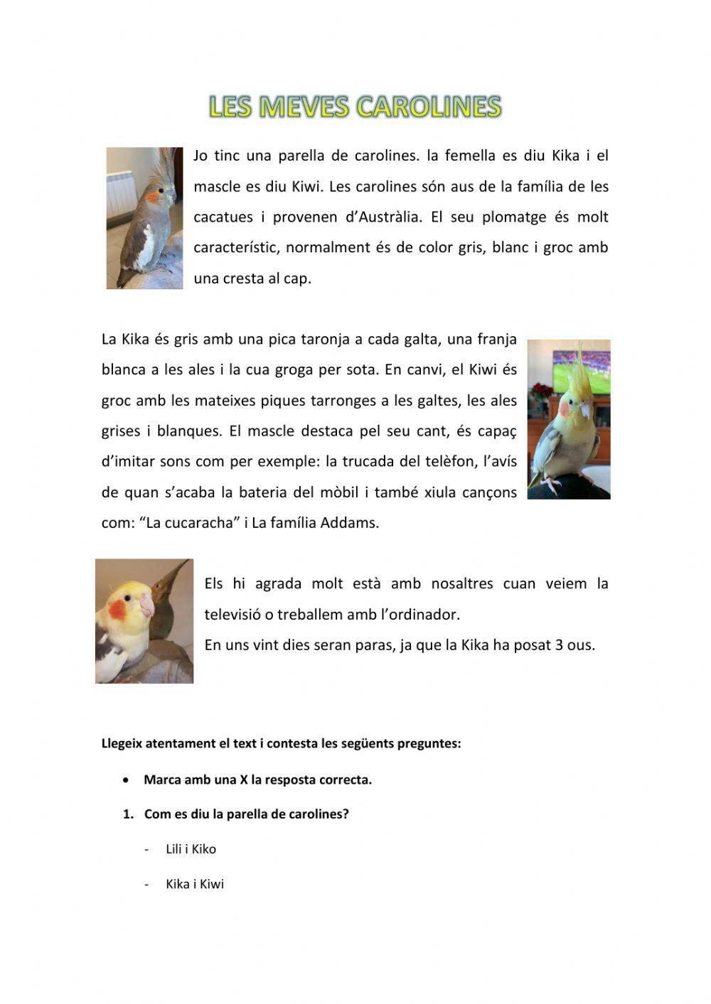 Comprensió lectora interactive exercise for 3r | Live Worksheets Comprensió lectora interactive exercise for 3r | Live Worksheets
