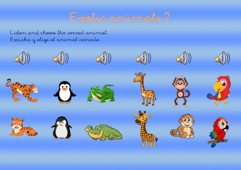 Exotic animals 2 worksheet | Live Worksheets