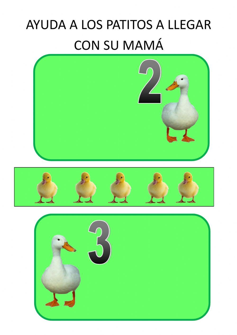 Patitos worksheet | Live Worksheets