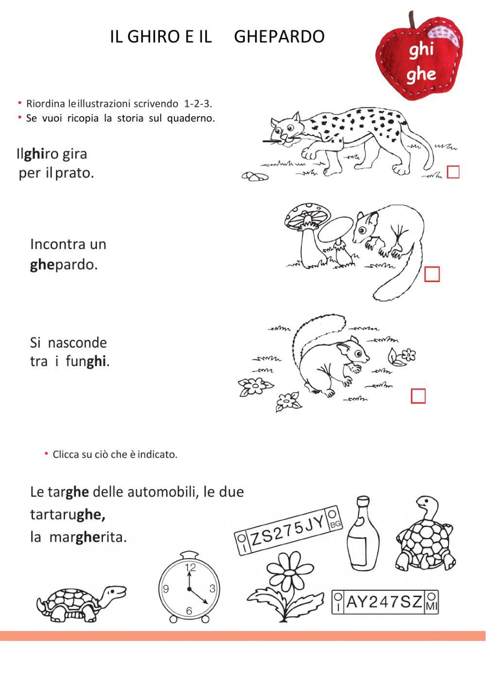 Il ghiro e il ghepardo worksheet | Live Worksheets