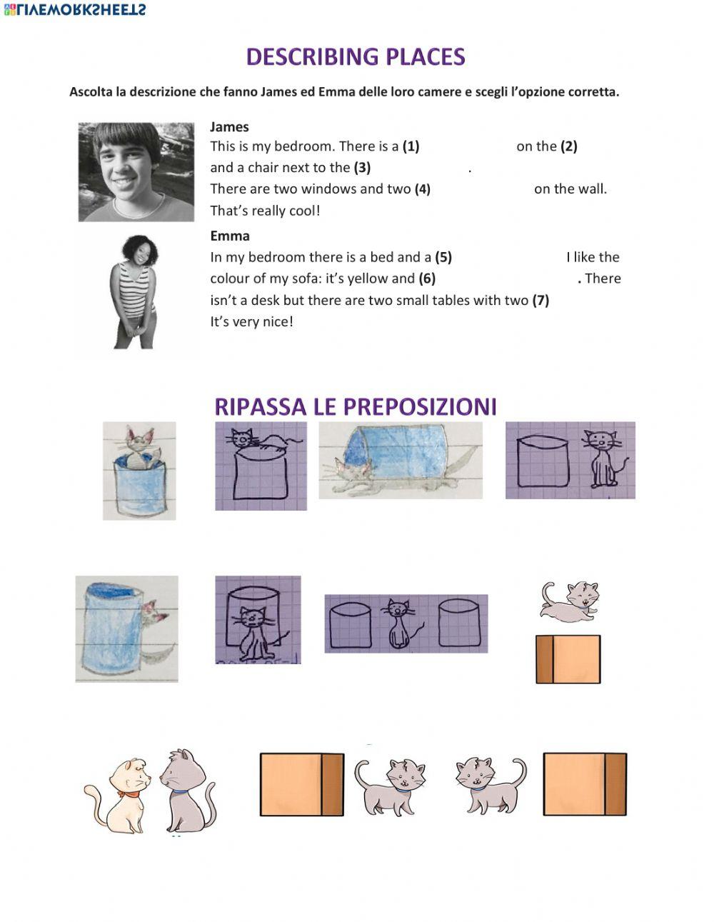 Describing places: revision online exercise for | Live Worksheets