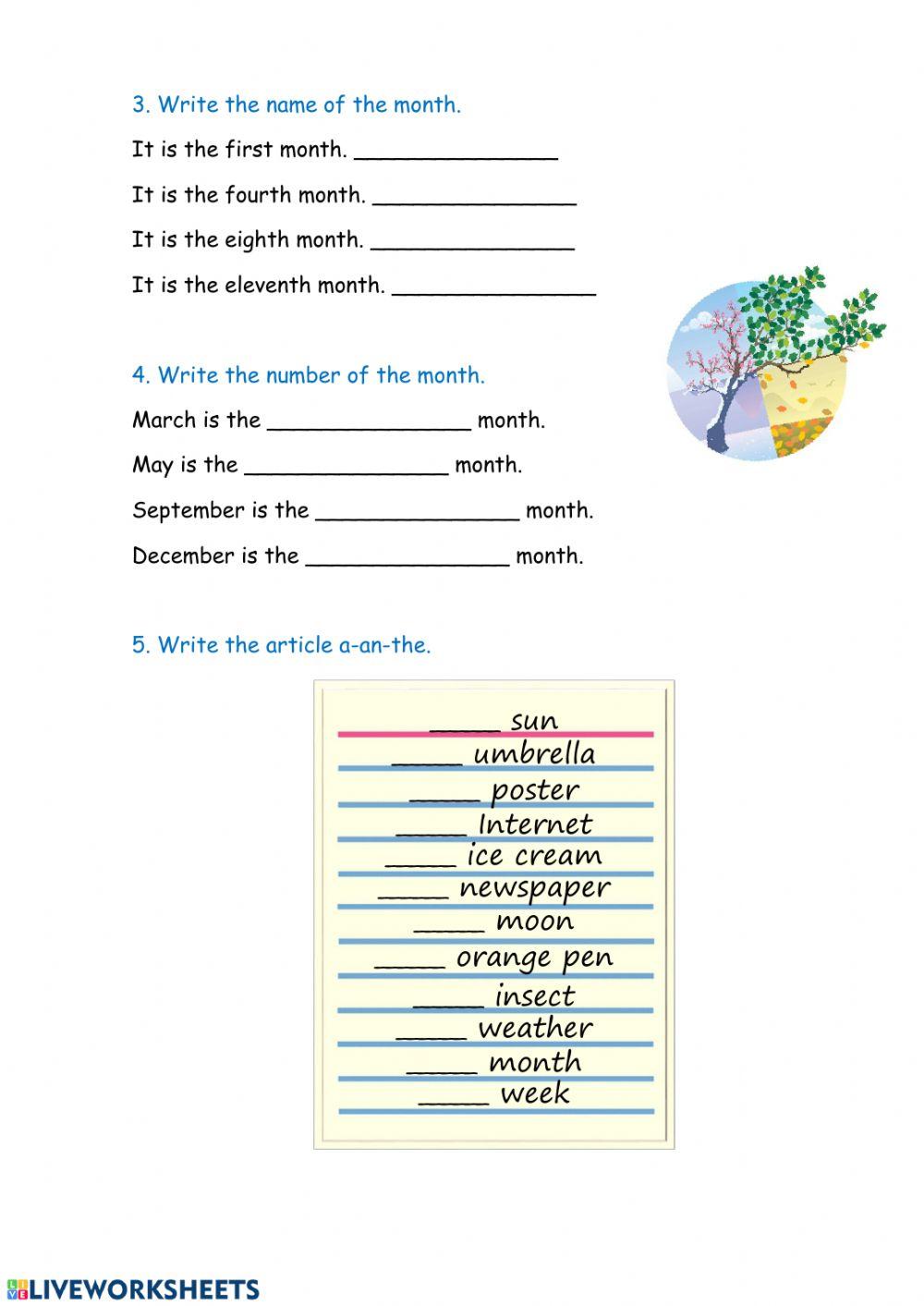 Introduction Test worksheet | Live Worksheets