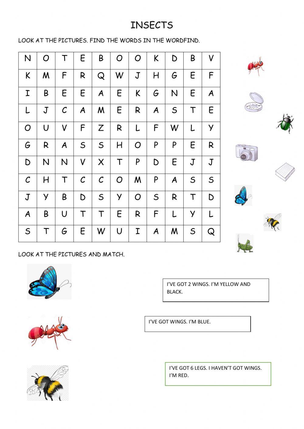 Insects | Free Interactive Worksheets | 209068