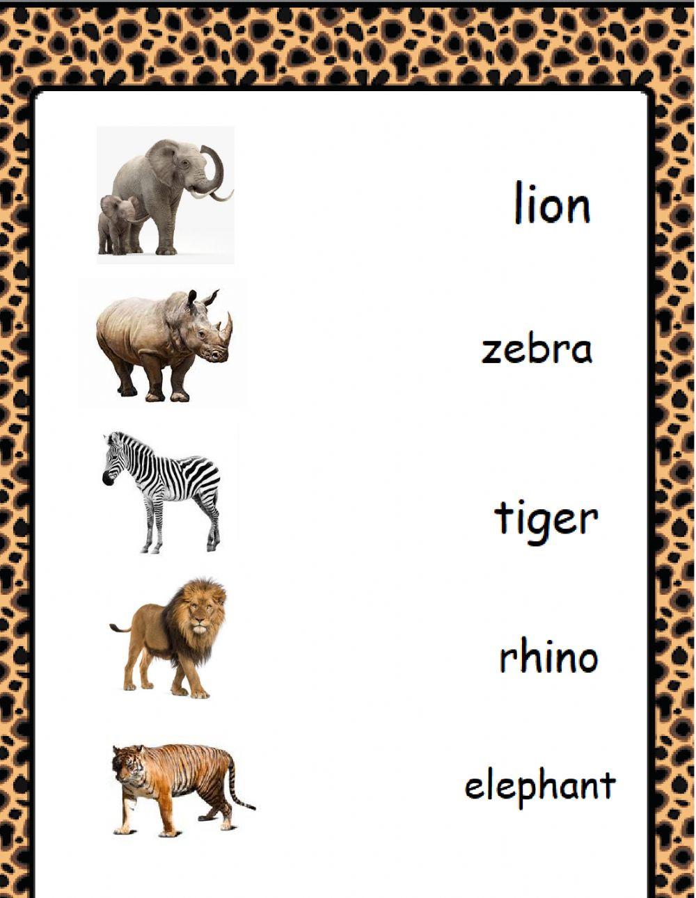 Review animals worksheet | Live Worksheets