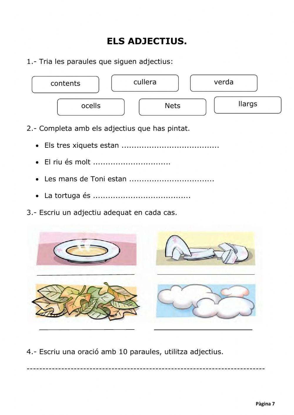 Adjectius | Free Interactive Worksheets | 211795