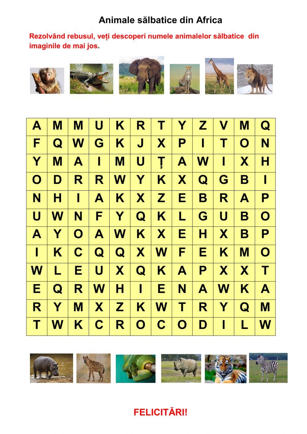 Rebus cu animal… | Free Interactive Worksheets | 212279