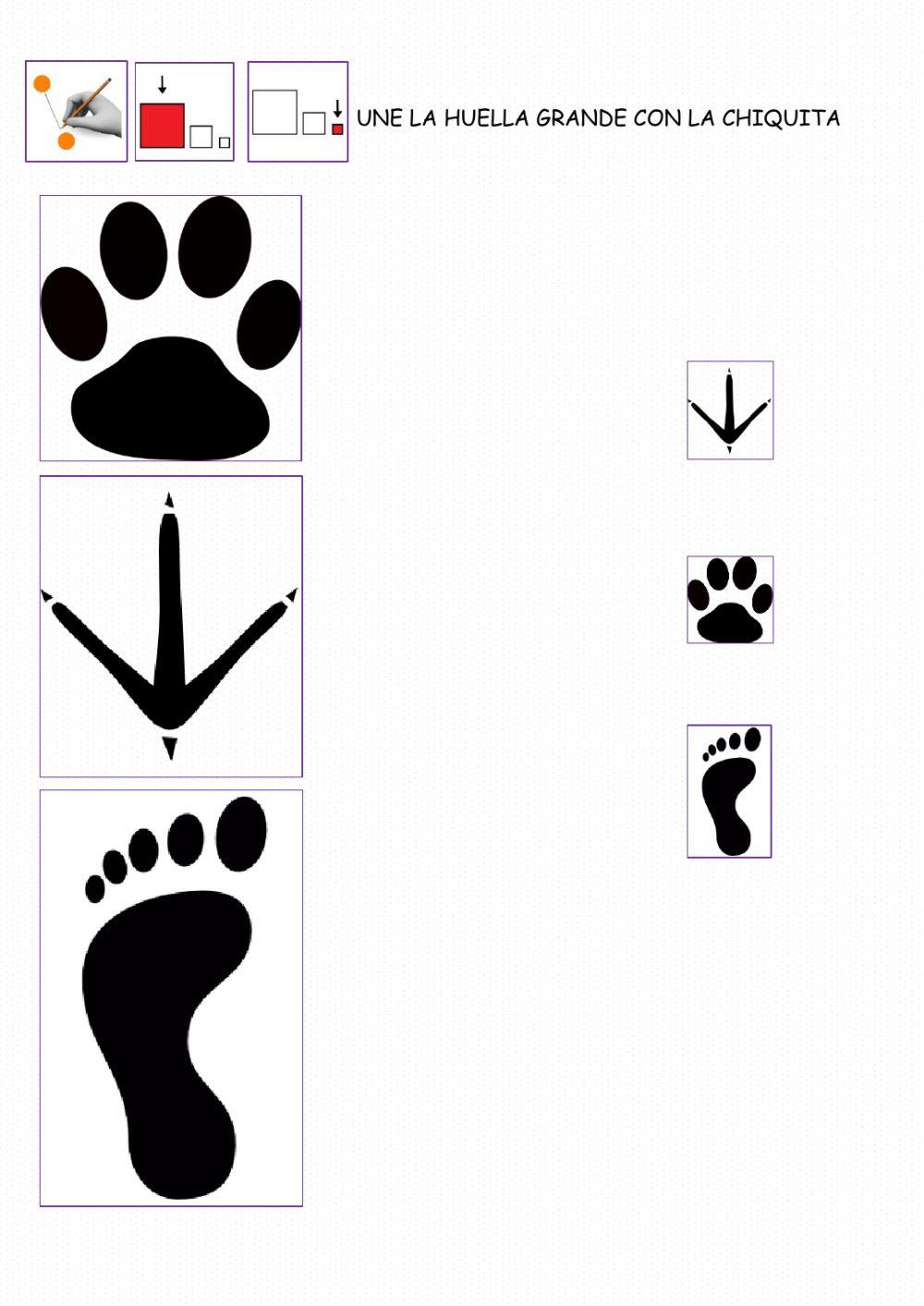 Grande-chico worksheet | Live Worksheets