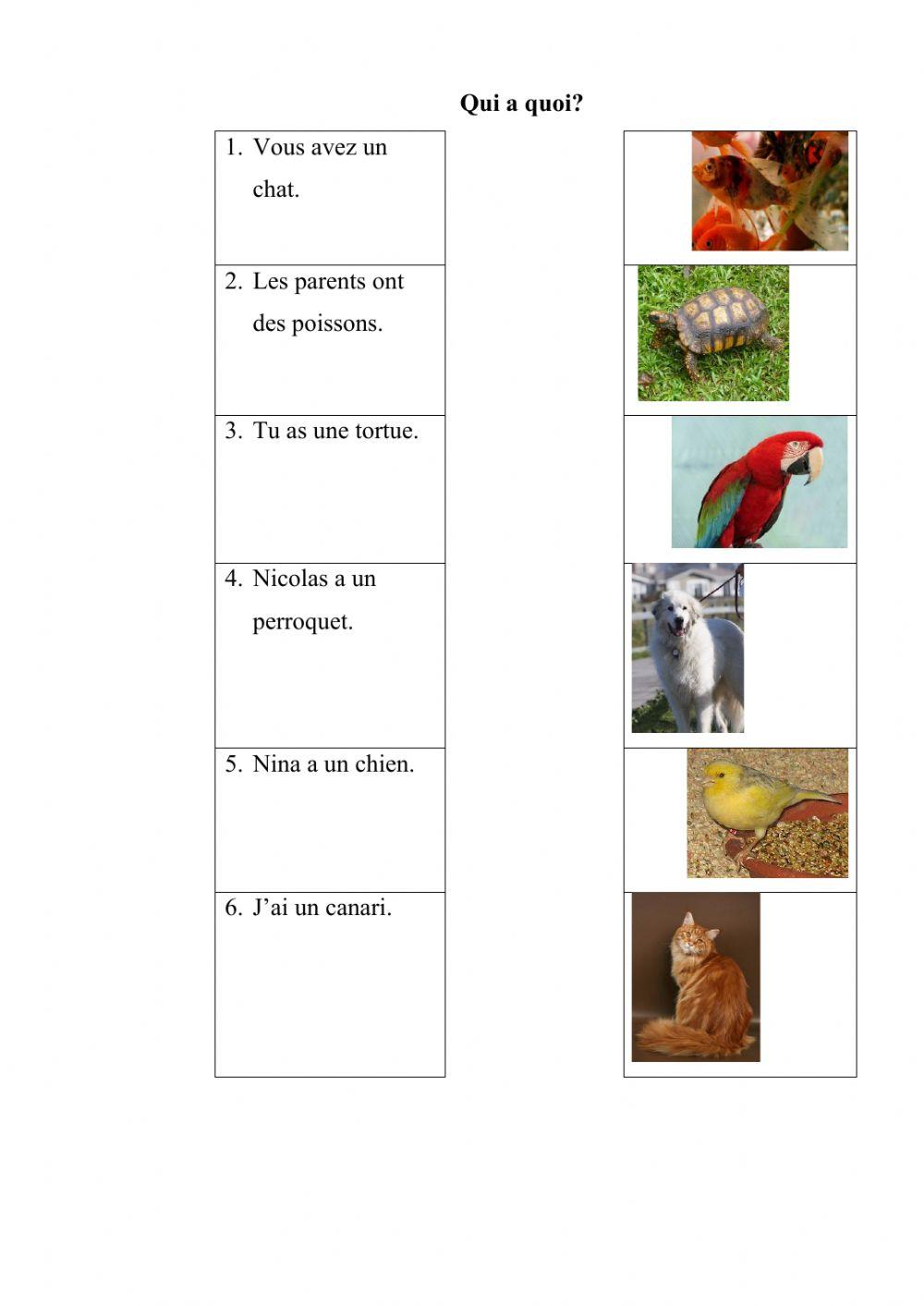 Qui a quoi:les animaux worksheet | Live Worksheets