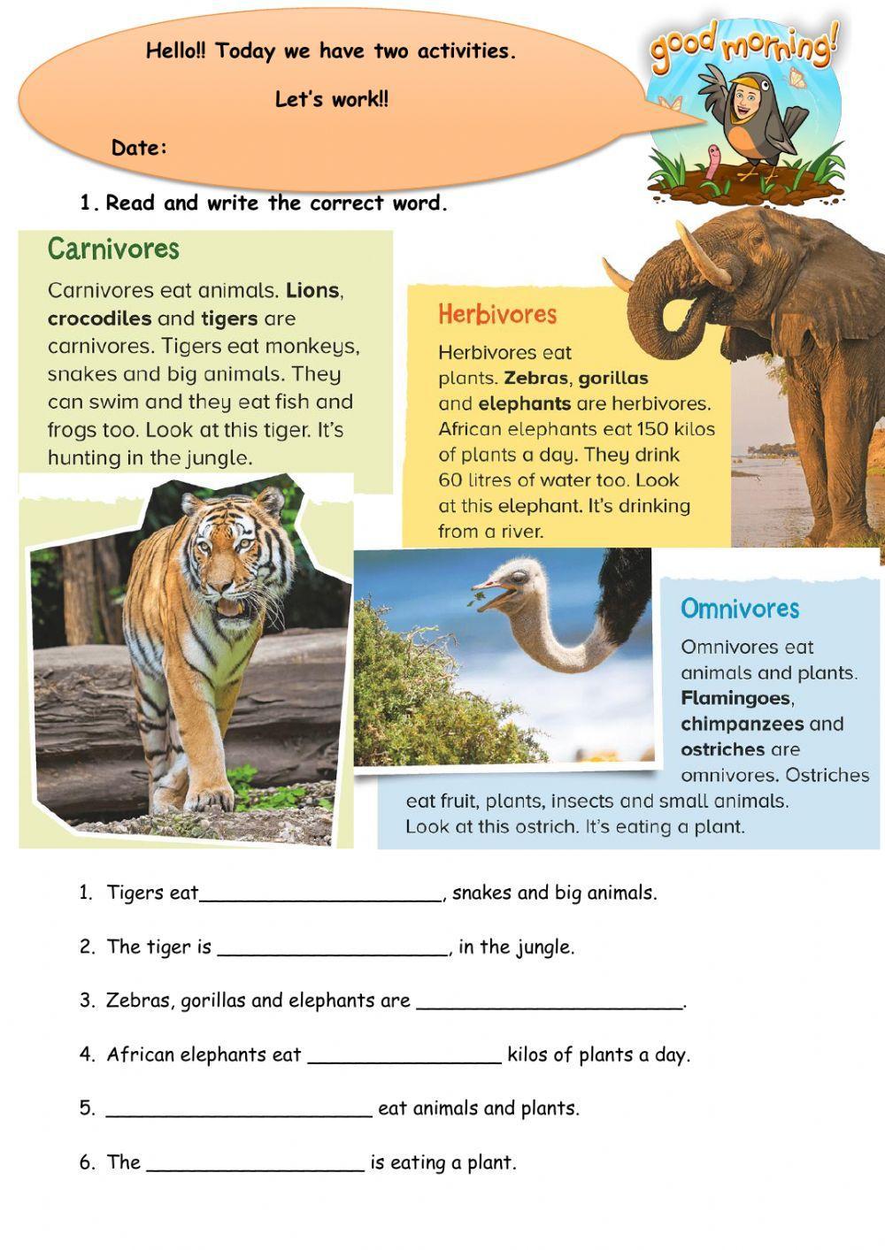 andreanache | Animals 5 214356 | LiveWorksheets