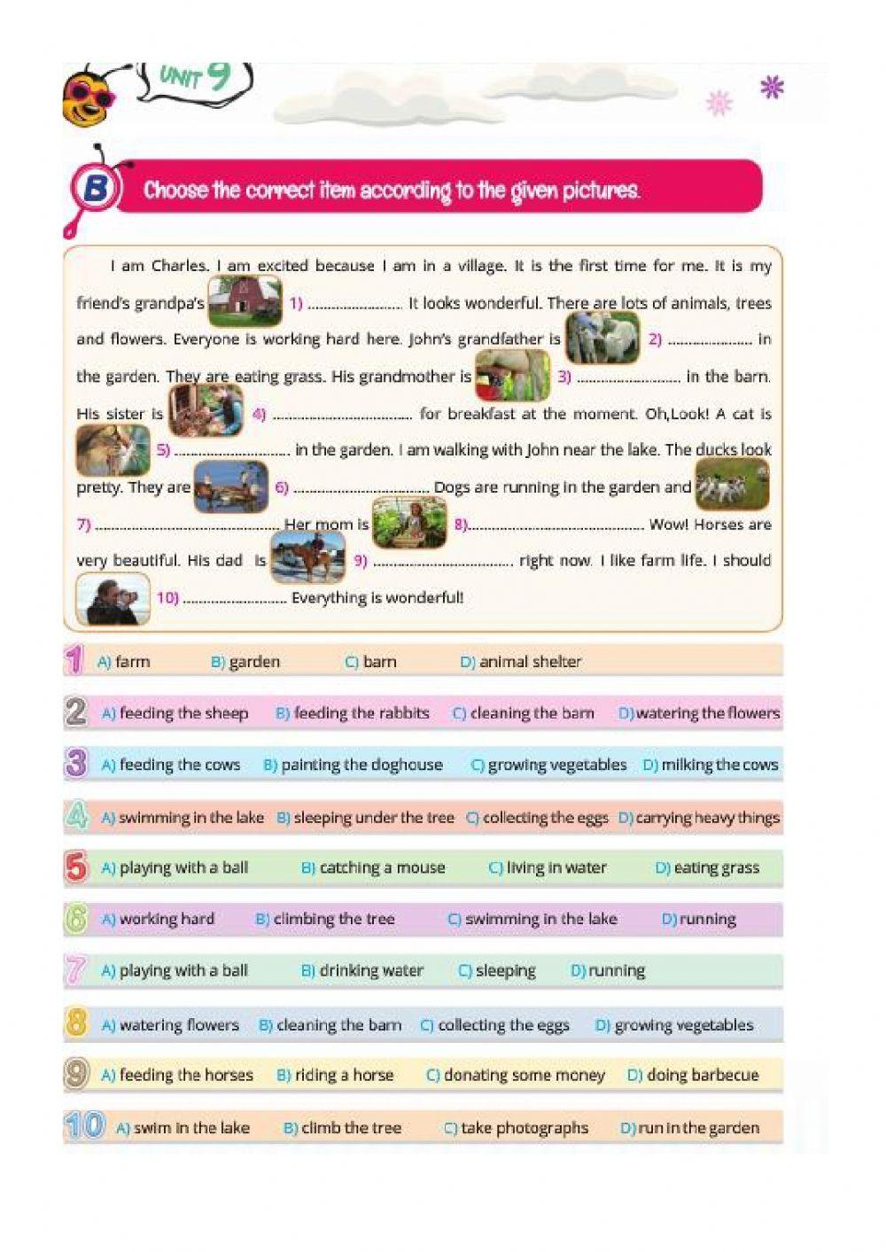 Animal shelter | Live Worksheets