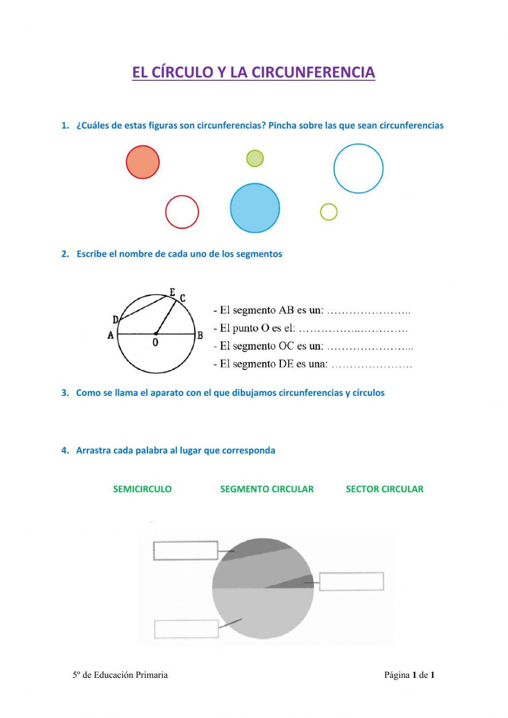 El circulo y la circunferencia worksheet | Live Worksheets