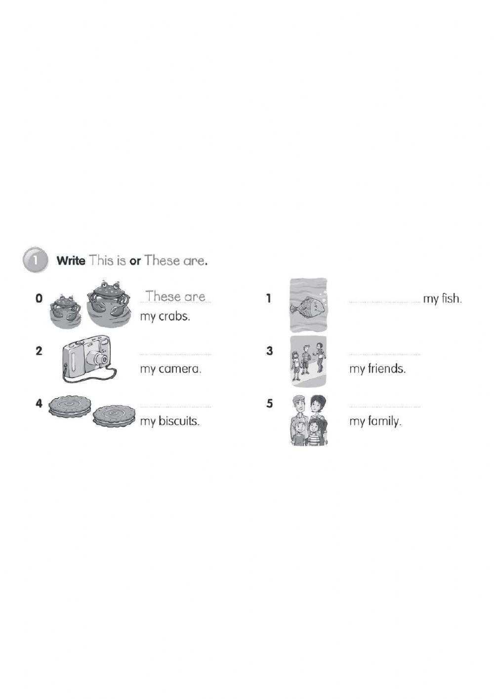 3rd grade END OF YEAR TEST 5712948 | Anelliya Georgieva