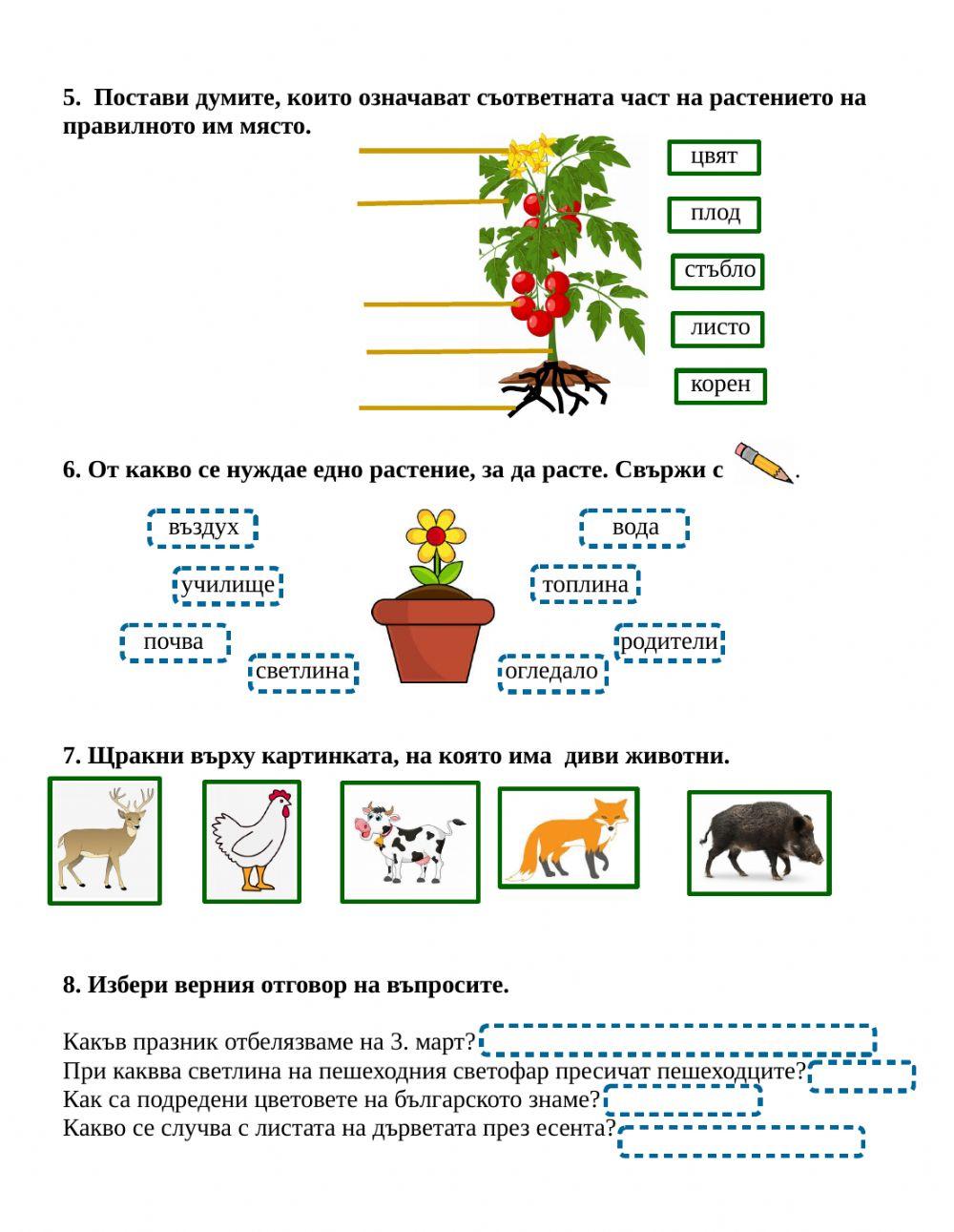 Самостоятелна р… Free Interactive Worksheets 5714101