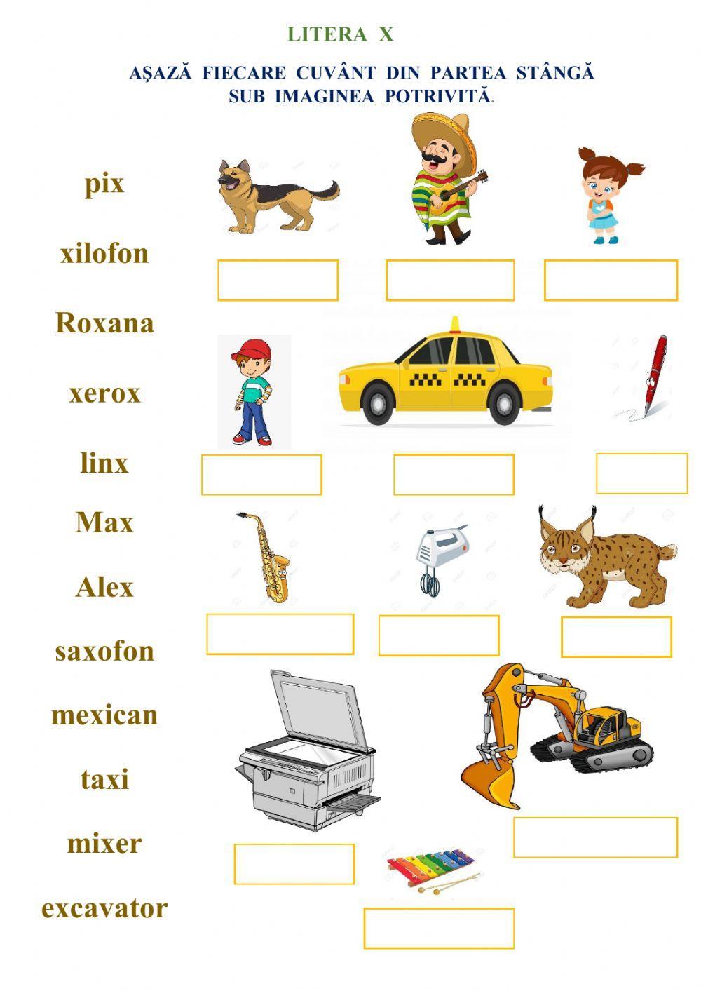 cuvinte cu lite… | Free Interactive Worksheets | 217261