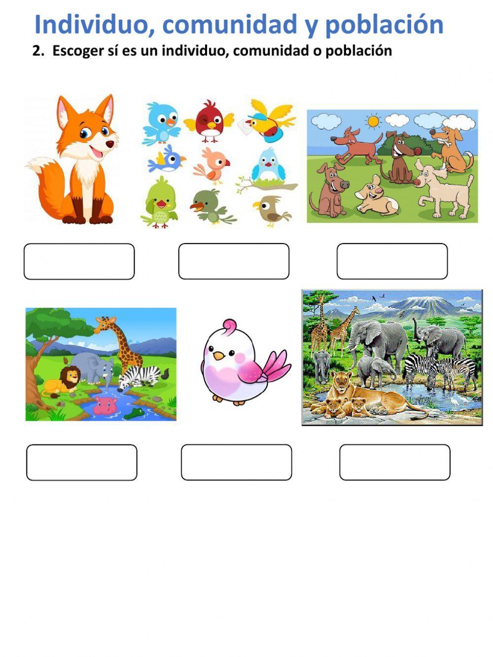 219974 | Individuo, población Comunidad | Doris Peña