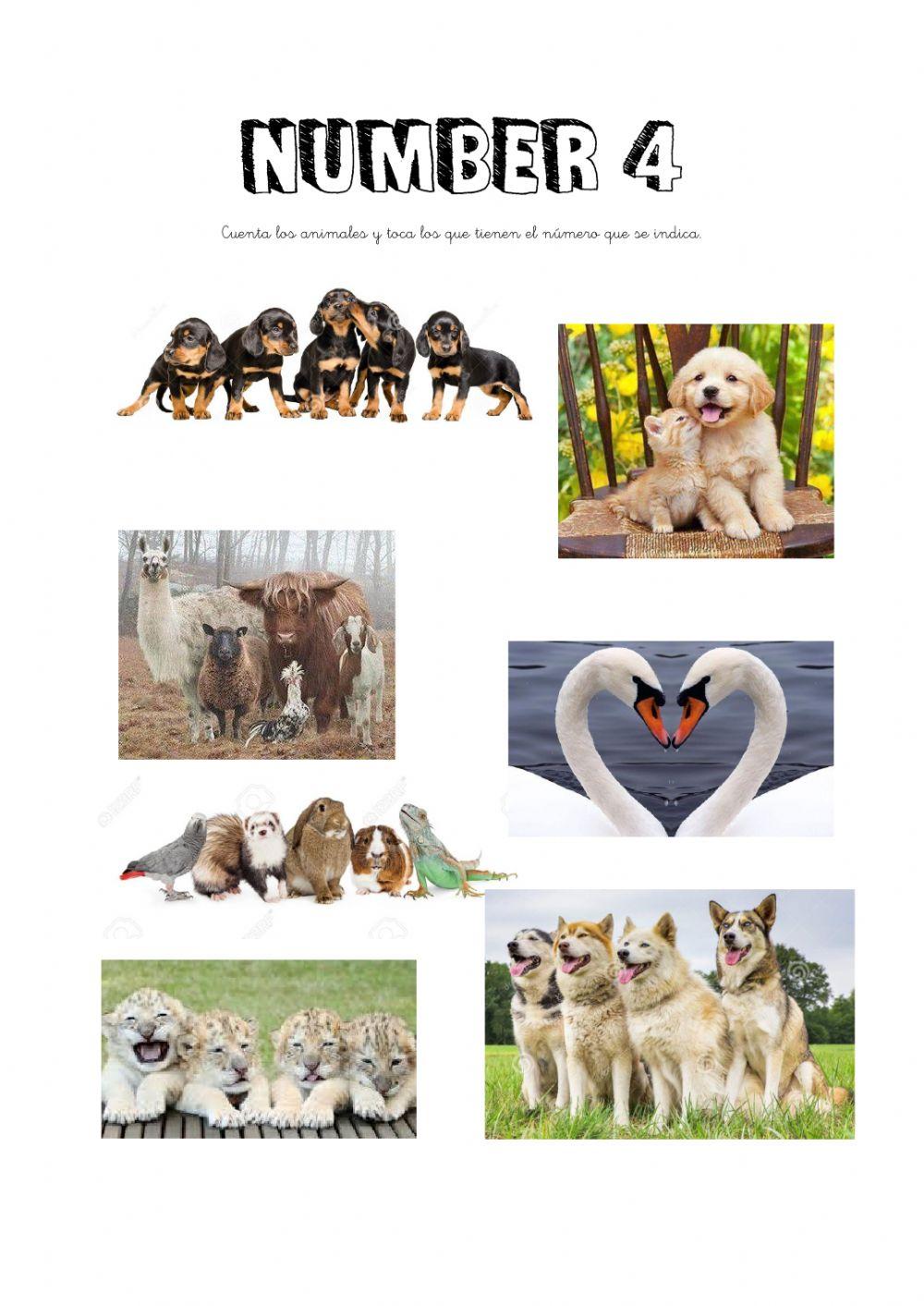 Number 4 activity | Live Worksheets