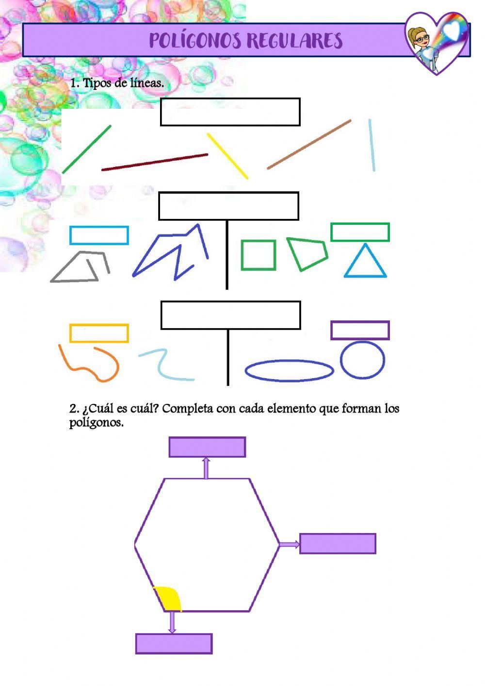 Líneas poligona… | Free Interactive Worksheets | 220699