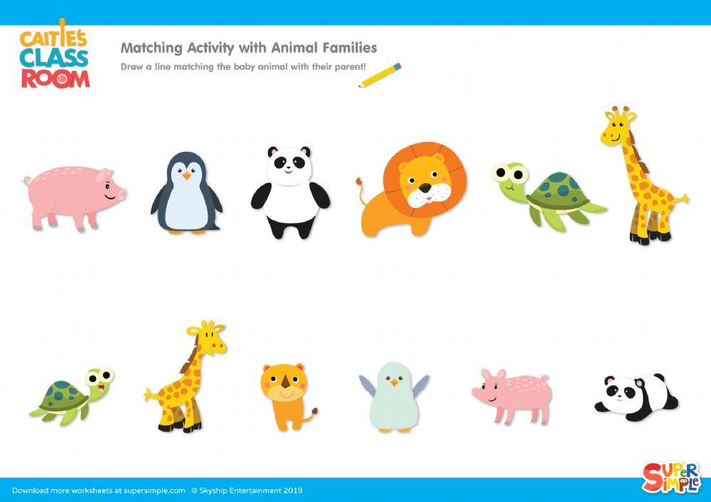 Animal Families worksheet | Live Worksheets