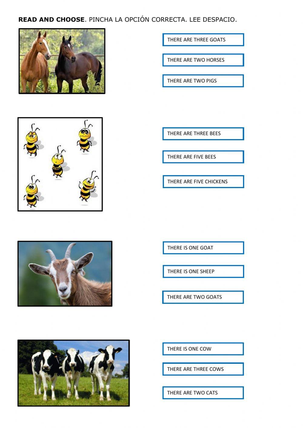 2º. Unit 4. Farm animals worksheet | Live Worksheets