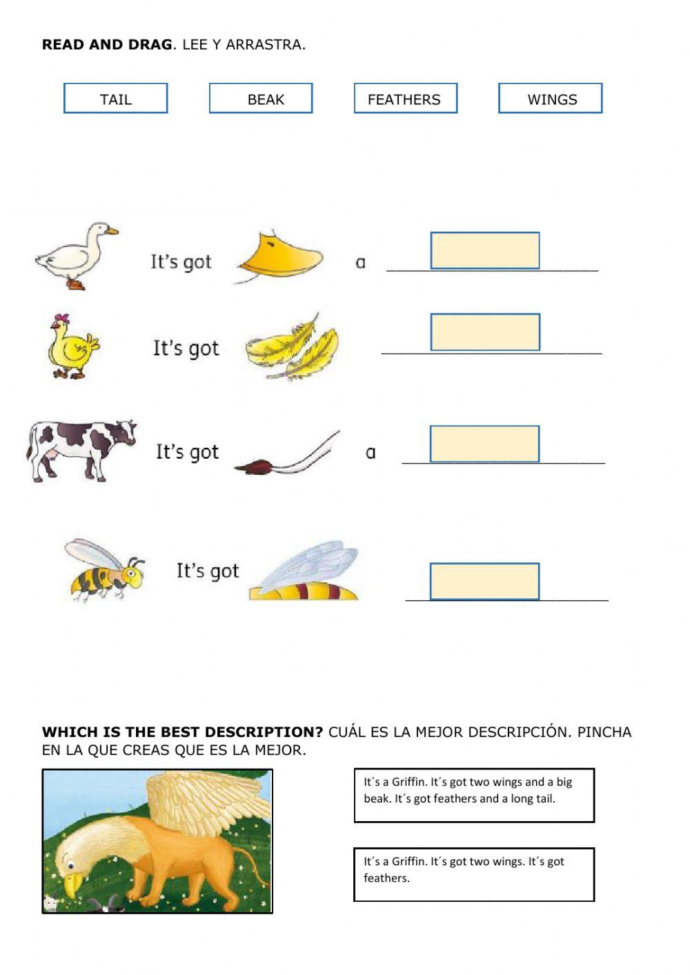 2º. Unit 4. Farm animals worksheet | Live Worksheets