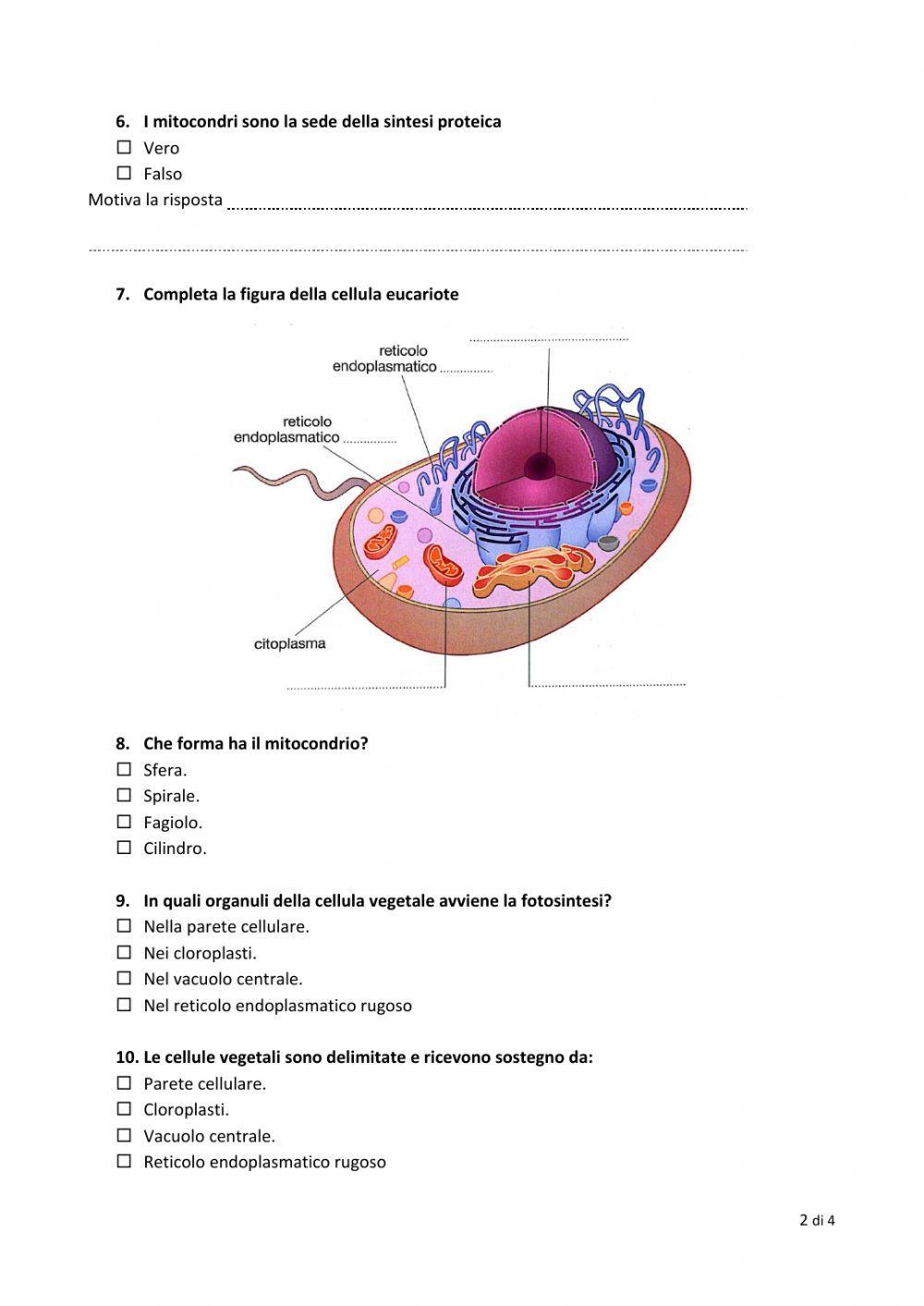 La cellula procariote ed eucariote worksheet | Live Worksheets