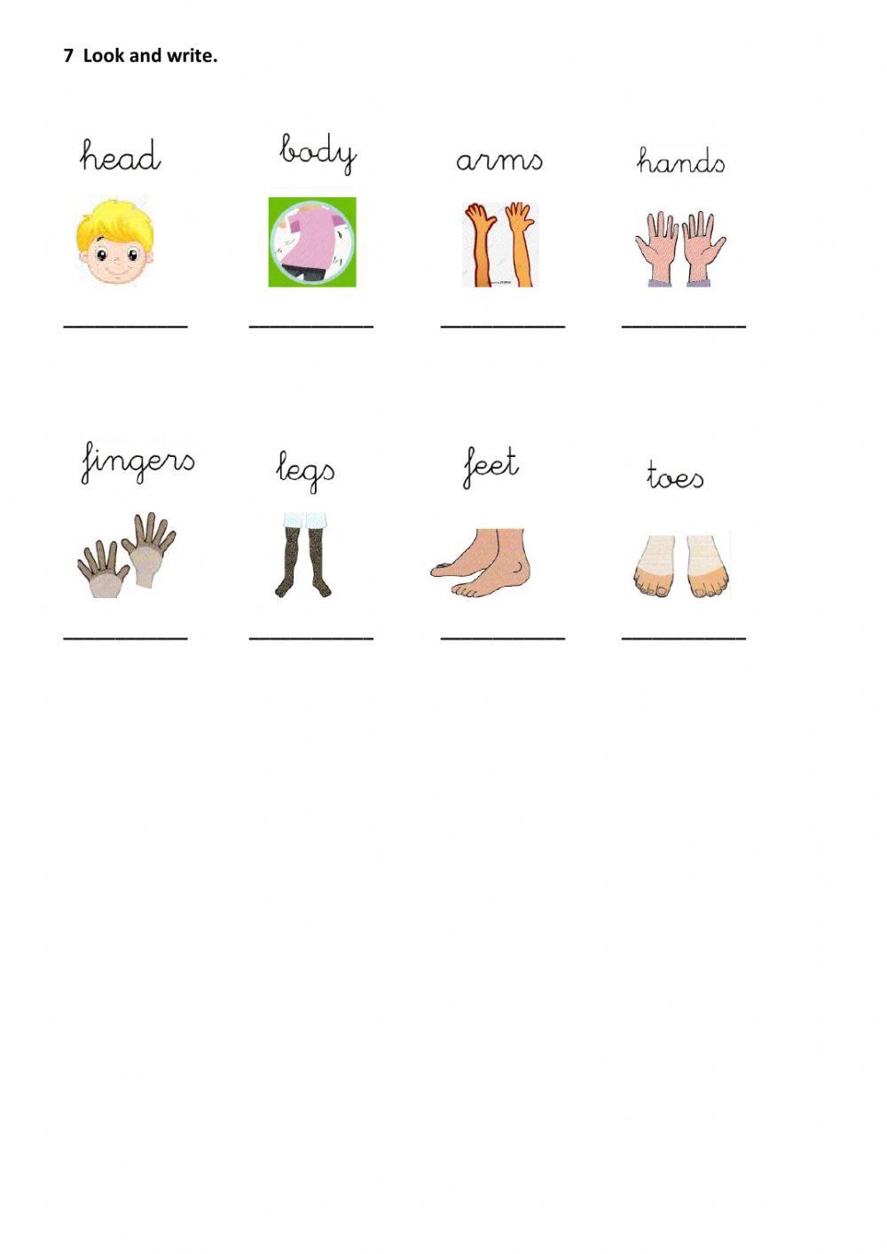 Unit 2 - Lesson 5 activity | Live Worksheets