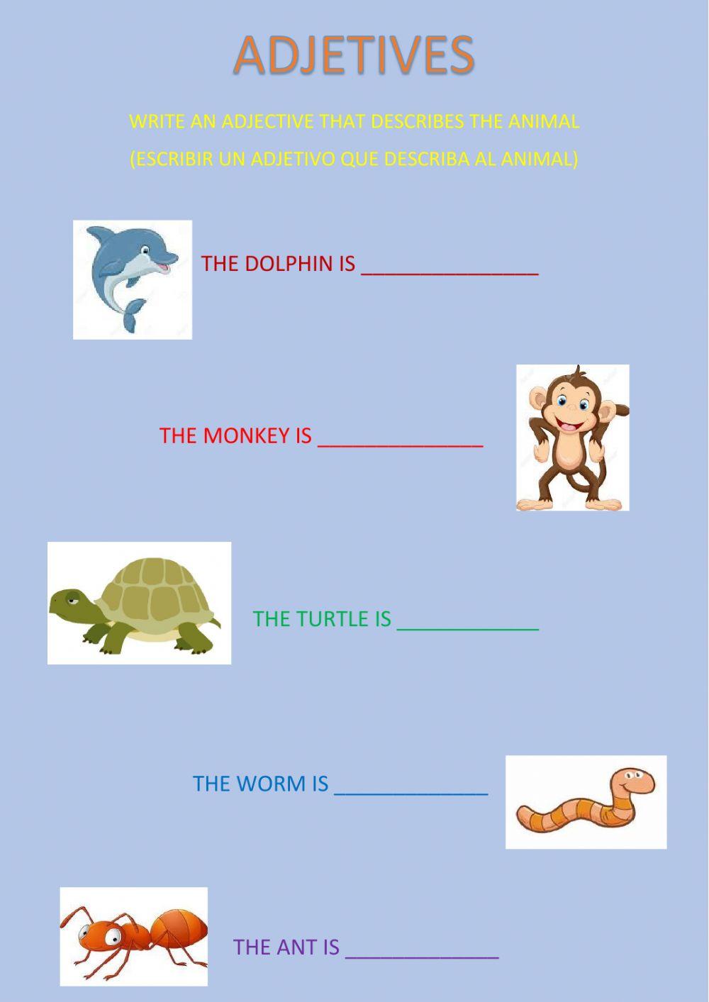 Adjetives exercise | Live Worksheets