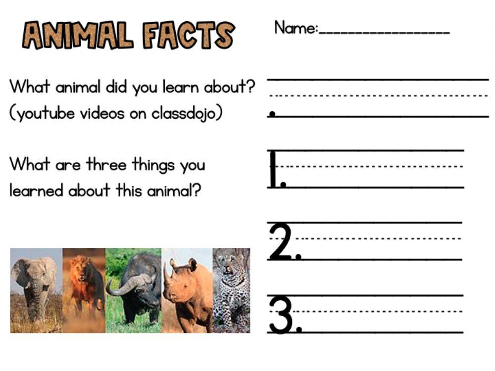 Animal Facts interactive worksheet | Live Worksheets