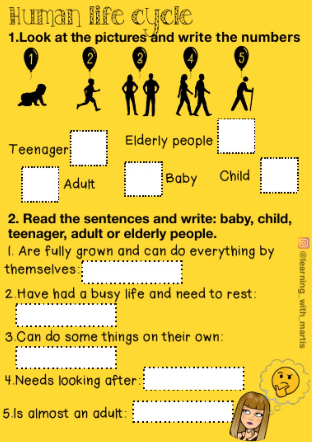 Human Life Cycle Interactive Worksheet Live Worksheets human-life-cycle-interactive-worksheet-live-worksheets