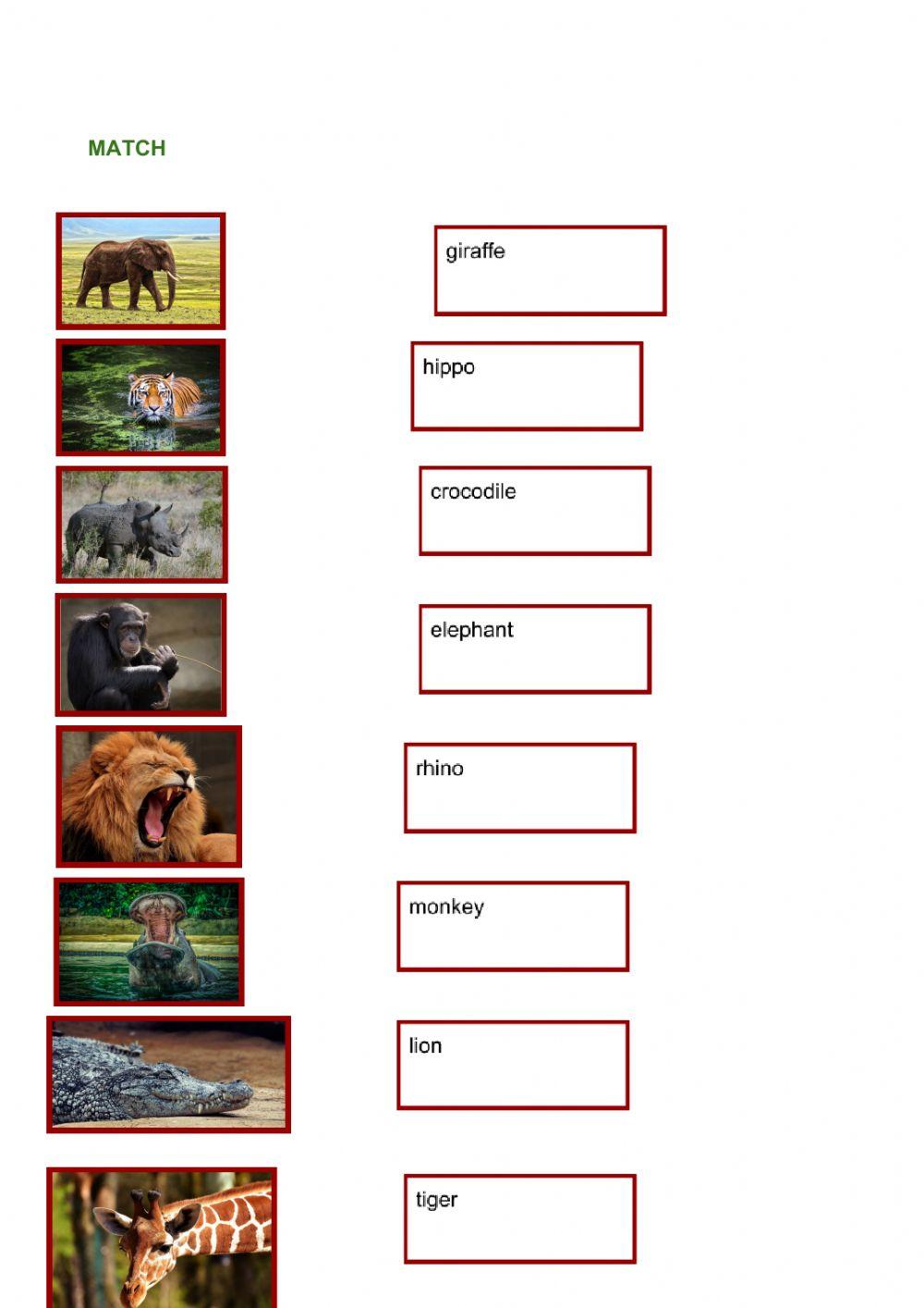 Animals online exercise for 2^ | Live Worksheets