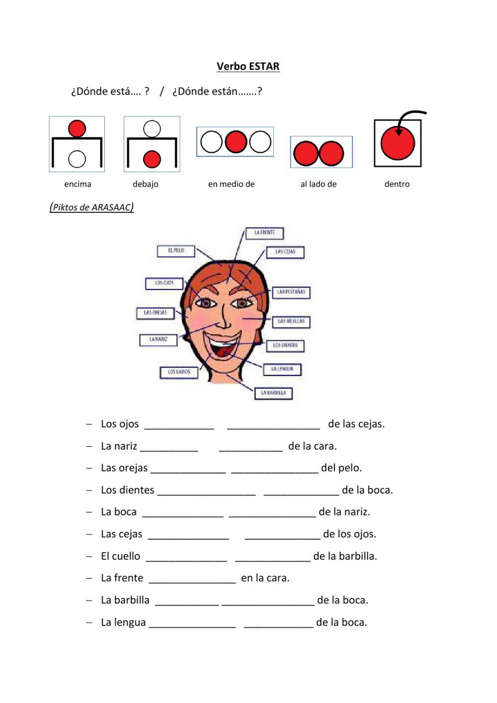 Verbo estar y partes de la cara worksheet | Live Worksheets
