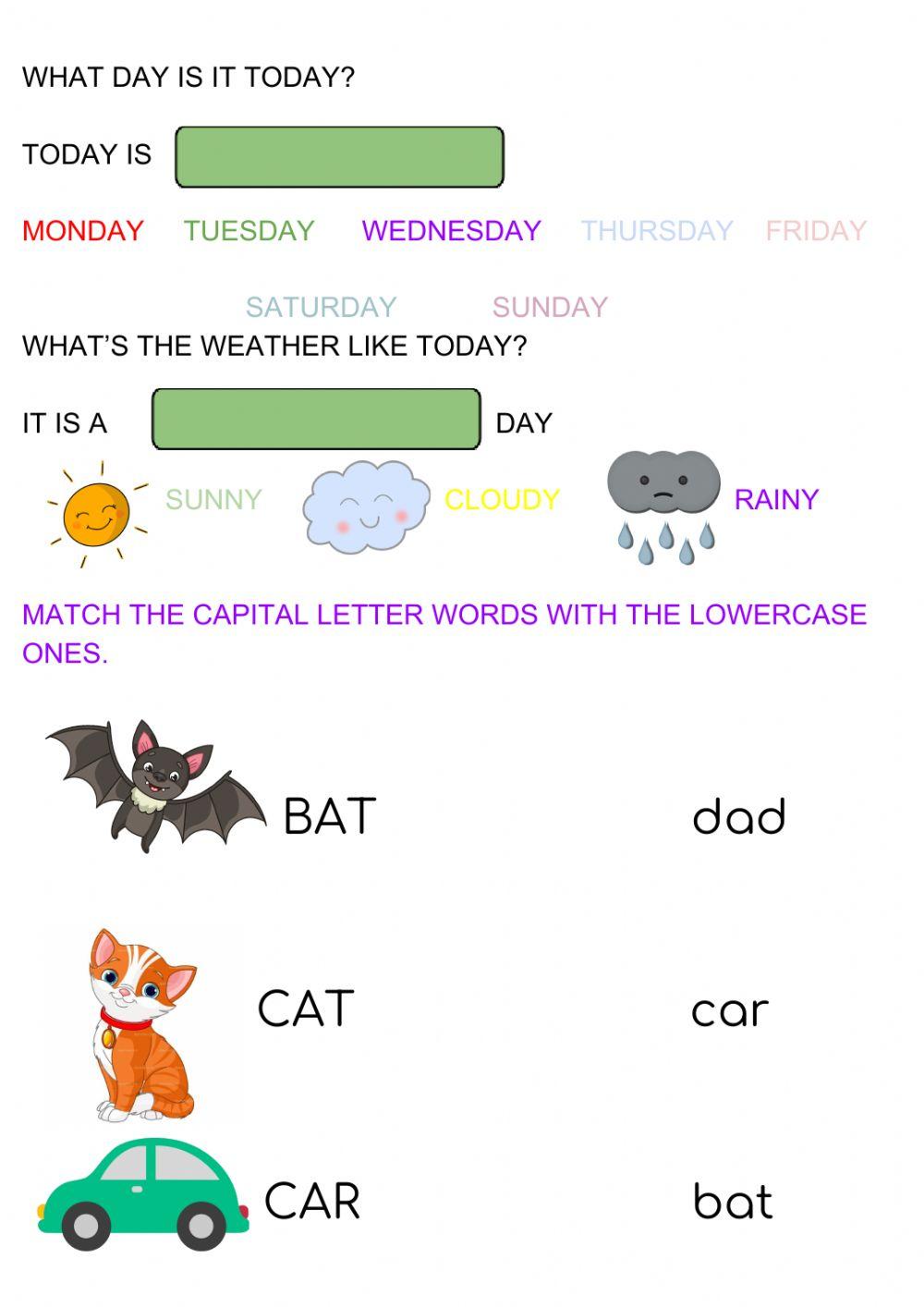 Cvc words online worksheet for 1STO FORM | Live Worksheets