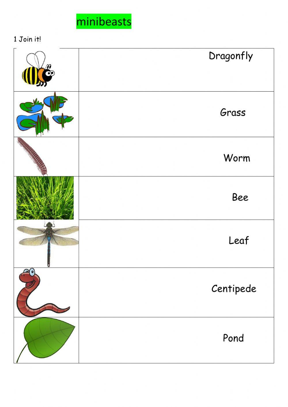 Little animals interactive worksheet | Live Worksheets