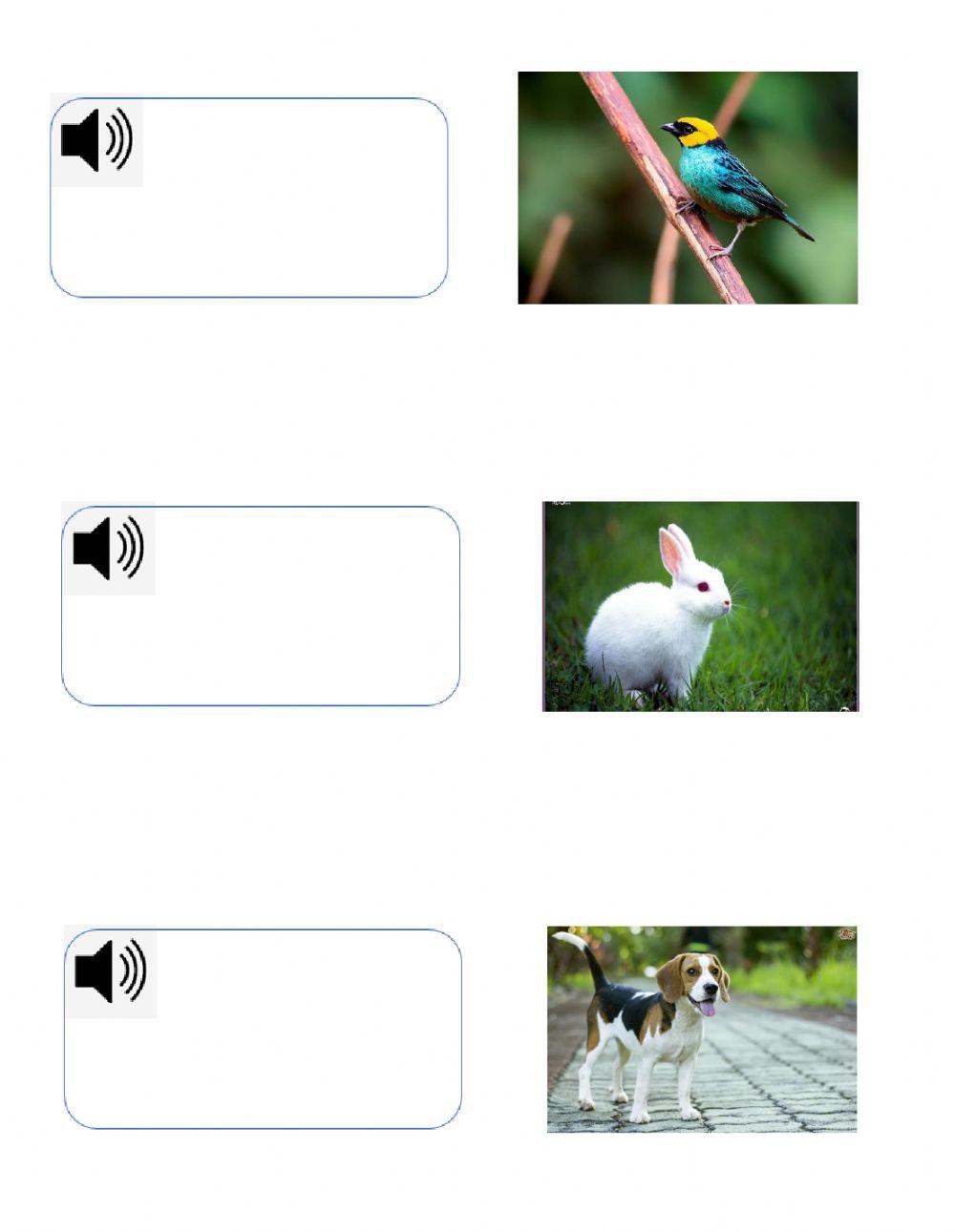 ANIMALS REVIEW 1 worksheet | Live Worksheets