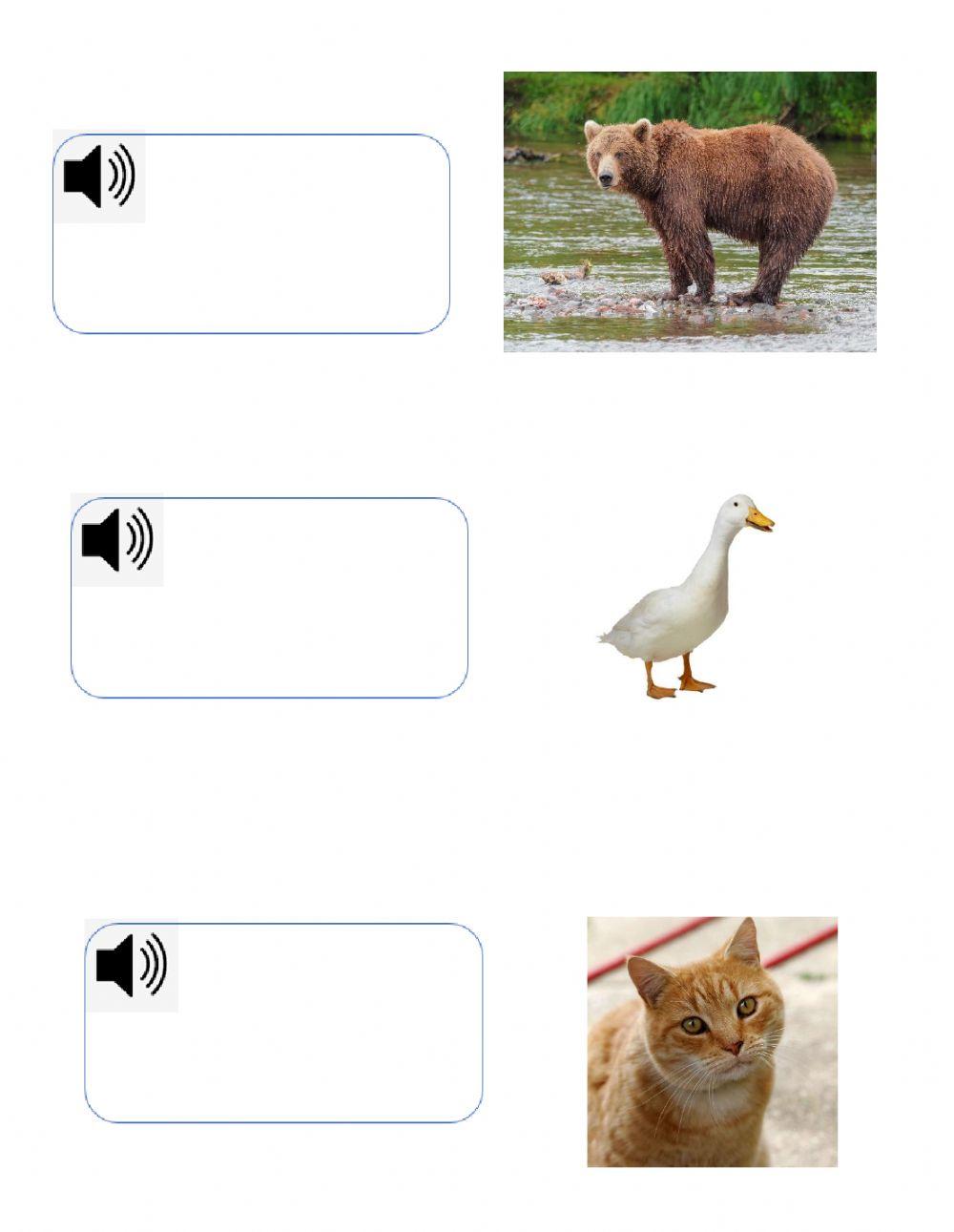 ANIMALS REVIEW 1 worksheet | Live Worksheets