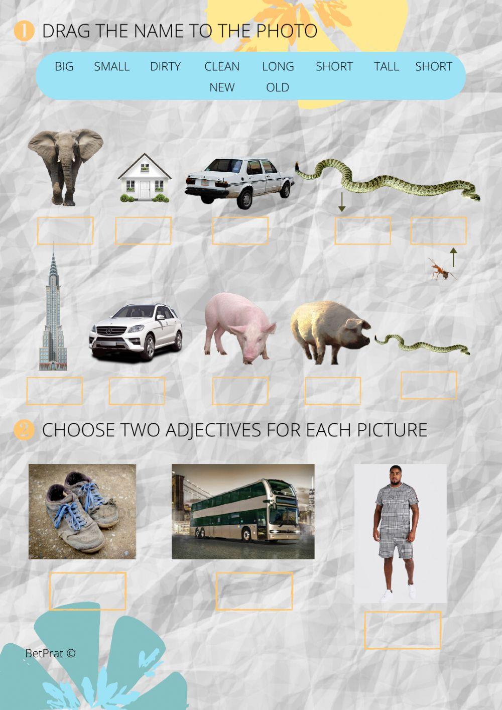 232847 | Basic vocabulary | BetPrat | LiveWorksheets