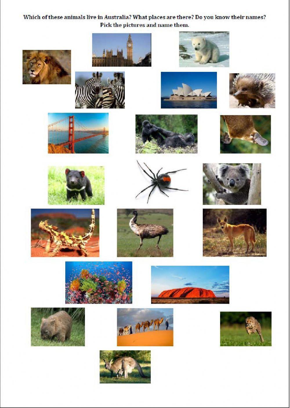 233121 | Australia's landmarks | joans | LiveWorksheets