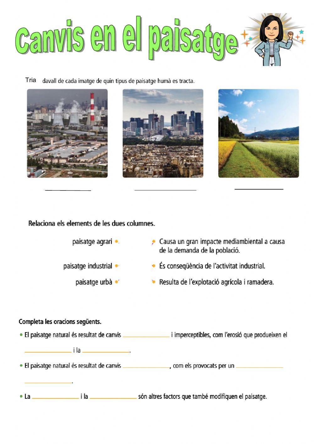 Canvis en el pa… | Free Interactive Worksheets | 233421